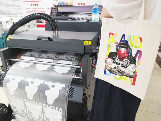 Audley A1 600mm DTF Printer with Powder Shaking Machine i3200/XP600 print head with cheap price