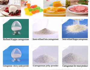 120 Mesh Food Grade Carrageenan Refined Or Semi Refined Carrageenan CAS 9000-07-1