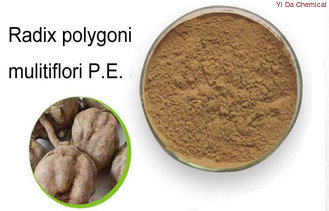99% Natural Weight Loss Powder Radix Polygoni Multiflori / He Shou Wu Powder