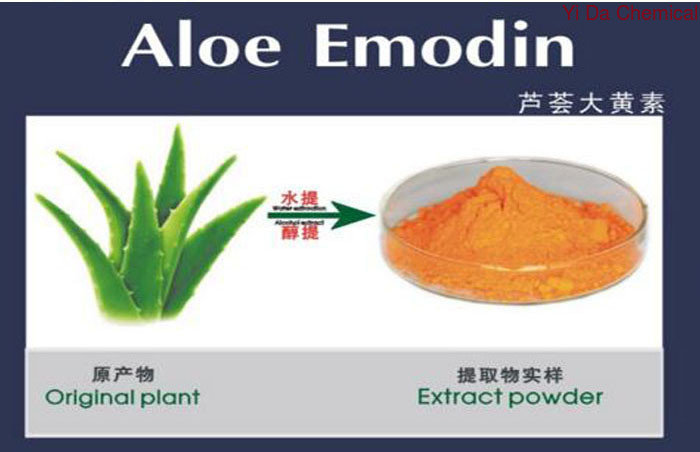 Organic Aloe Vera Extract Powder Emodin Powder 98% Oil Discharge And Liposuction