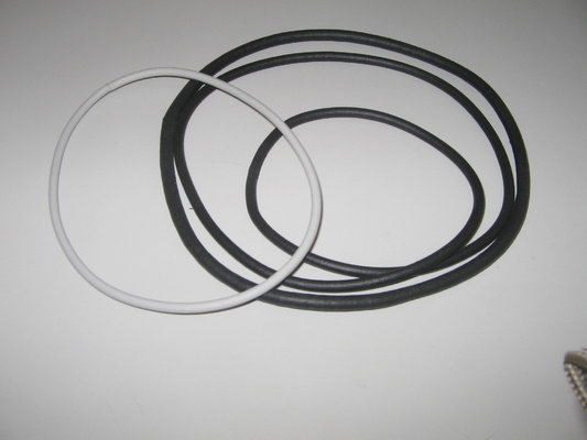 EPDM Static Sealing Spong Viton Silicone Rubber O Rings with Technical Drawin FDA