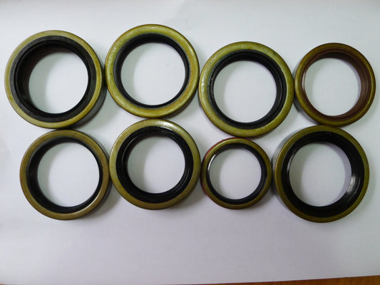 Abrasion Resistance TB / TC BHh3673 Viton Oil Seal For Excavator TB6Y