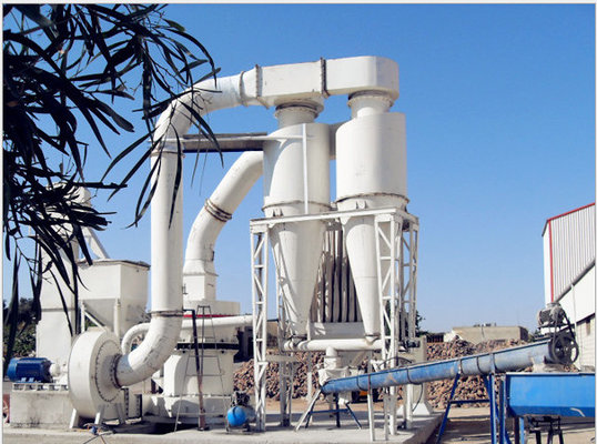 China Leading Vertical Roller 60 Mesh To 425 Mesh Feldspar Grinding Mill