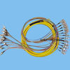 12 cores Fiber Optic Patch Cord