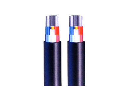 Enterprise Standard Low Voltage Electrical Xlpe Electric Cable for Underground, Station