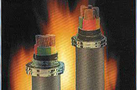IEC60332 Copper core XLPE Insulated Underground Flame Retardant Cables Rated voltage 300V