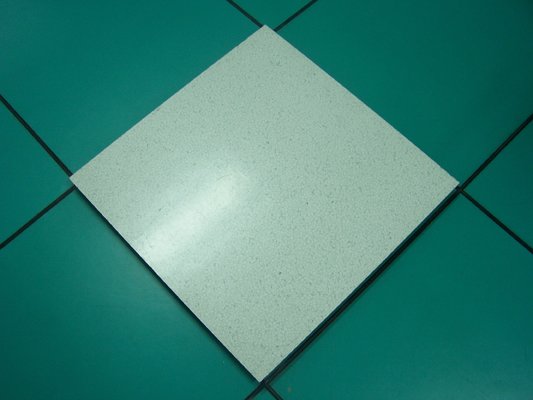 Access Raised Floor Construction Raised Computer Flooring Flame Retardant