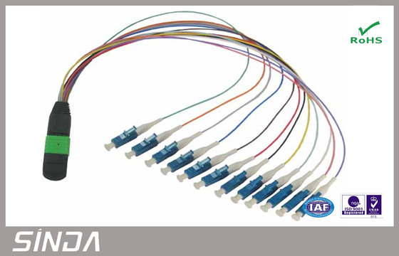 2.0mm OM3  Fiber Optic Patch Cord 4 / 8 / 12 / 24 Fiber MPO