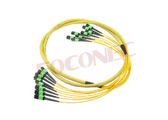 MPO Fiber Optic Patch Cord , Factory Pre-terminated Trunk Patch Lead