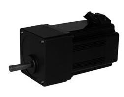Reduction DC Brushless Motor Square deceleration brushless DC motor24BL-BG