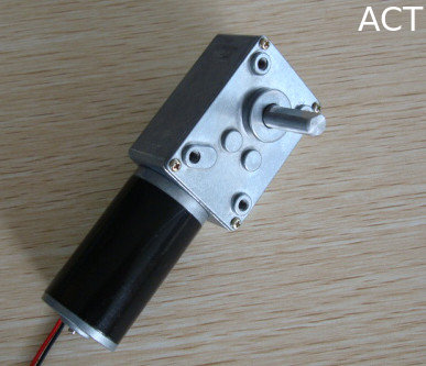 The Worm DC geared motors