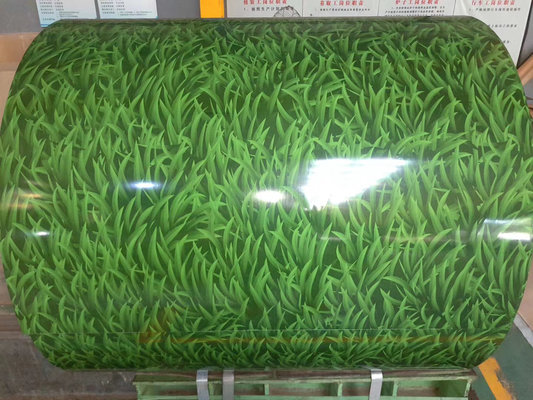 China Factory Manufacture PPGI Steel Coil Color Coated and Prepainted Galvanized PPGI Steel Roll supplier