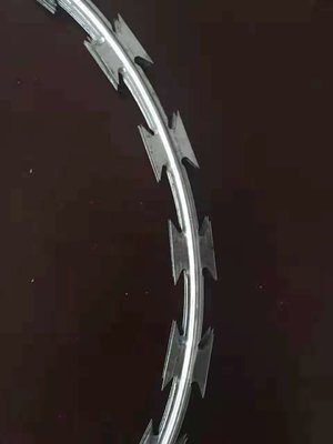 razor barbed wire price in bangladesh/hot dipped galvanized razor wire/stainless steel razor blade fencing wire supplier