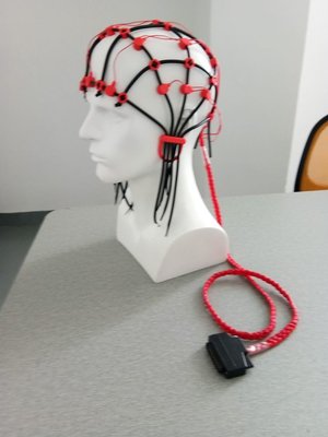 EEG Cup Electrode cap