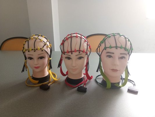 EEG Cup Electrode cap