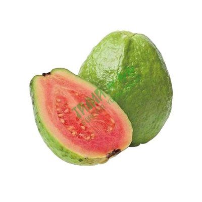 Taima Concentrated guava flavor,high quality concentrated flavor