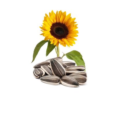 Taima PG Based sunflower flavor  Liquid  walnut Flavour For e-cig liquid
