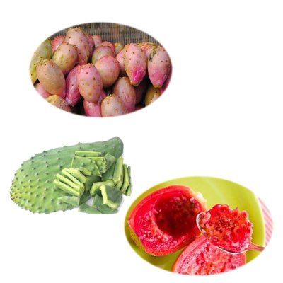 Taima hot selling food grade flavor concentrate cuctus flavor essence flavor tobacco