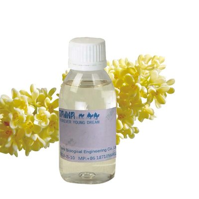 Taima hot selling food grade flavor concentrate cuctus flavor essence flavor tobacco