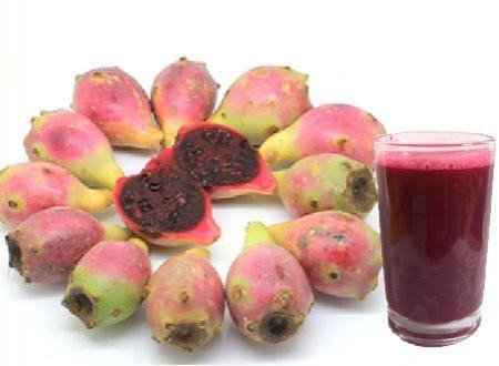 fruit flavor concentrate cactus flavor cuctus flavor liquid vaping juice