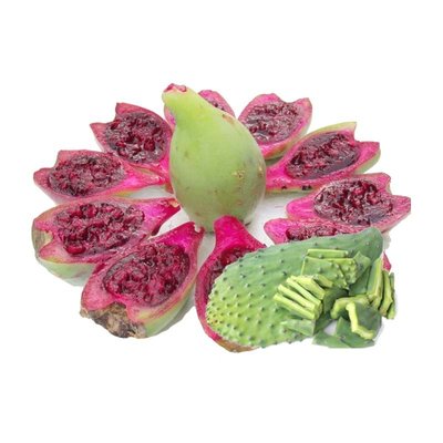 fruit flavor concentrate cactus flavor cuctus flavor liquid vaping juice