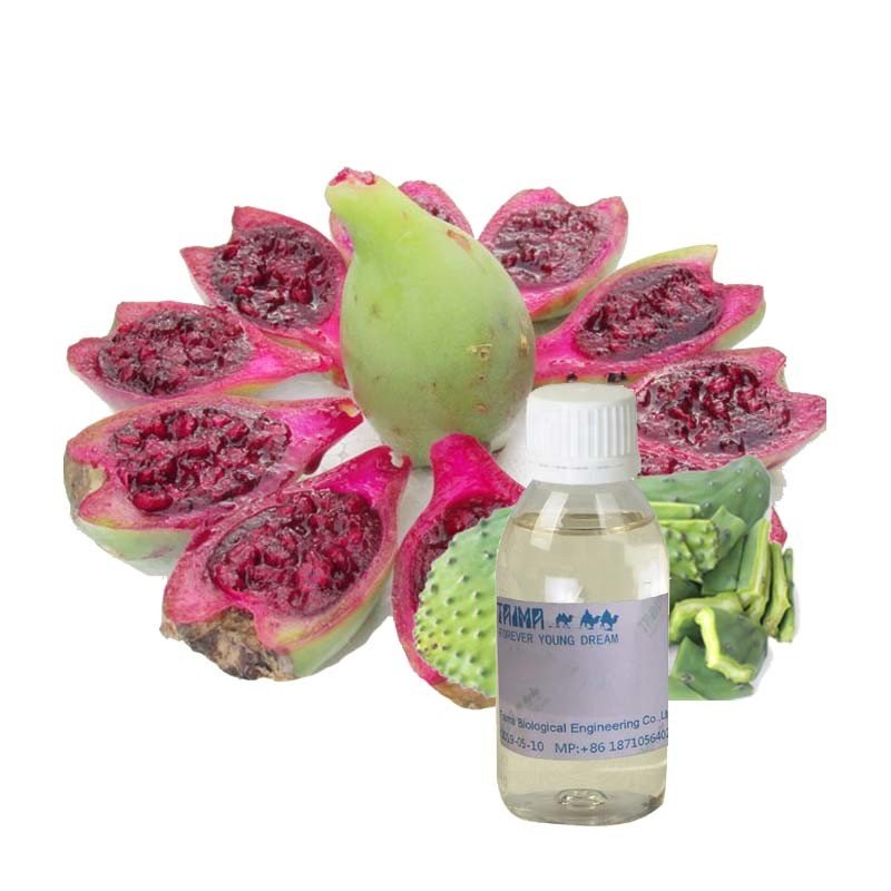 fruit flavor concentrate cactus flavor cuctus flavor liquid vaping juice
