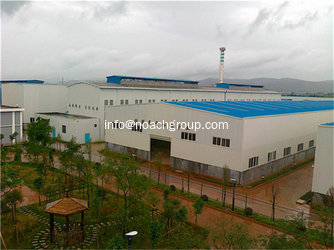 NOACH Group Limited