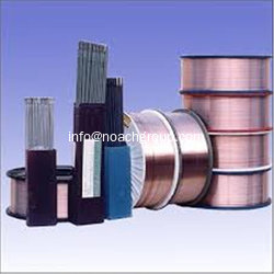 NOACH Group Limited