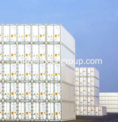 Qingdao China International Logistics sea freight air freight ANTWERP,Belgium,20'GP,40'GP,40'HC,40'HC supplier