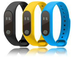 Bracelet with OLED LCD display, embedded Battery, Bluetooth low energy, Calories measurement and pedometer etc.