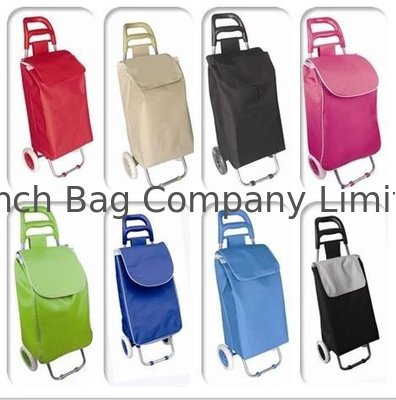 folding shopping trolley bag with two wheels