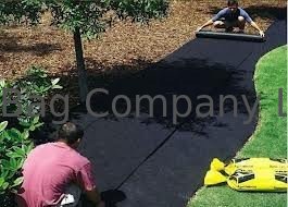 pp spunbond non woven fabric for plant cover,flower cover