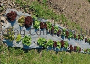pp spunbond non woven fabric for plant cover,flower cover