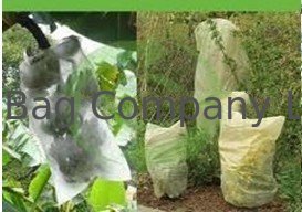 pp spunbond non woven fabric for plant cover,flower cover