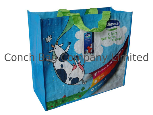 Sales promotion Recycled PP Woven Bag with 160gsm PP Woven Fabric