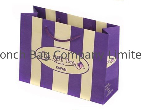 200gsm Art Recycled Paper Bags