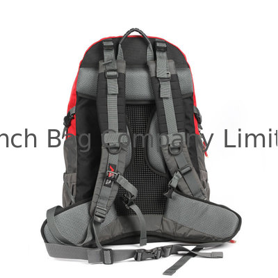 China Professional School Bags for Teenagers Boys , ASTM F963