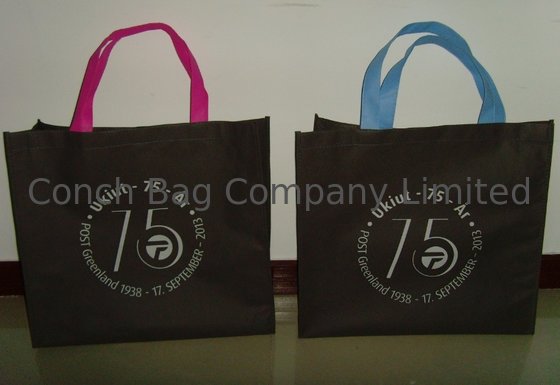 Handle Recycle Non Woven Shopping Bags with Custom Logo Printing