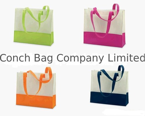 Colourful PP Non Woven Fabric Bags degradable with Advertising Tote Bag