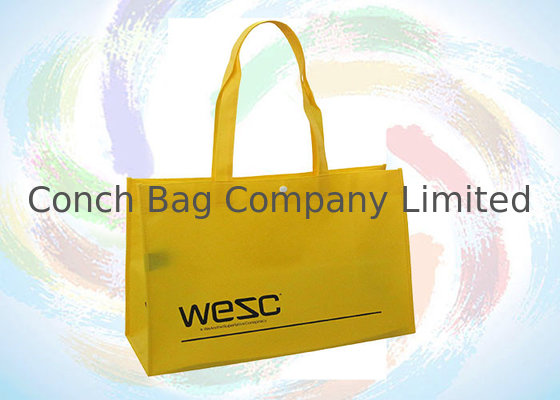 Custom Printing PP Non Woven Bag for Clothes and Shoes Packaging