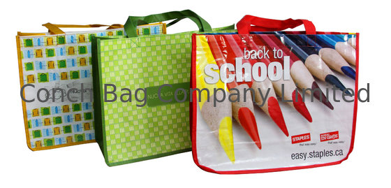 Customized PP Woven Shopping Bags College Style