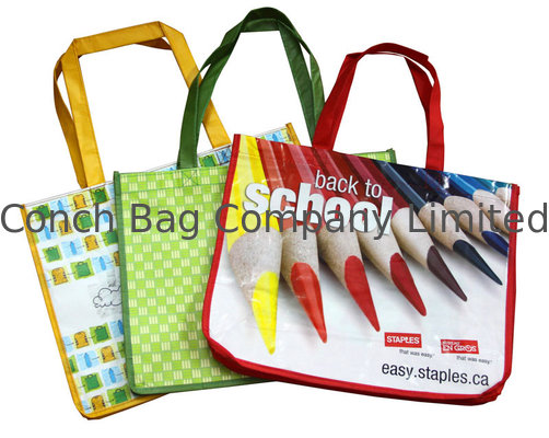 Customized PP Woven Shopping Bags College Style
