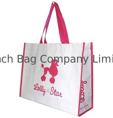 Foldable PP Woven Tote Shopping Bag