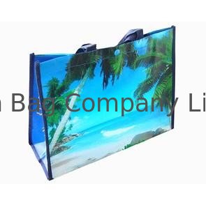 pp woven shopping bag