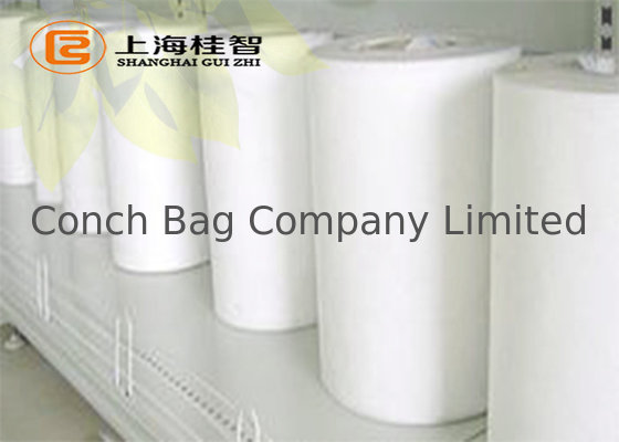 Professional Spunlace Nonwoven Fabric Supplier,