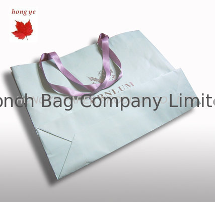 Printed Paper Carrier Bags , Clothing Shopping Bag With Silk Handle
