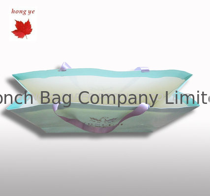 Printed Paper Carrier Bags , Clothing Shopping Bag With Silk Handle
