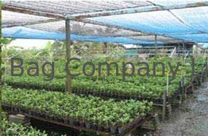 anti-UV pp spunbond non woven fabric for agriculture