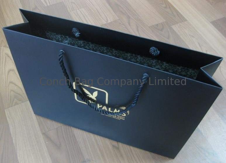 OEM Luxury Art Recycled Paper Bags , 300gsm Shoes Paper Bag
