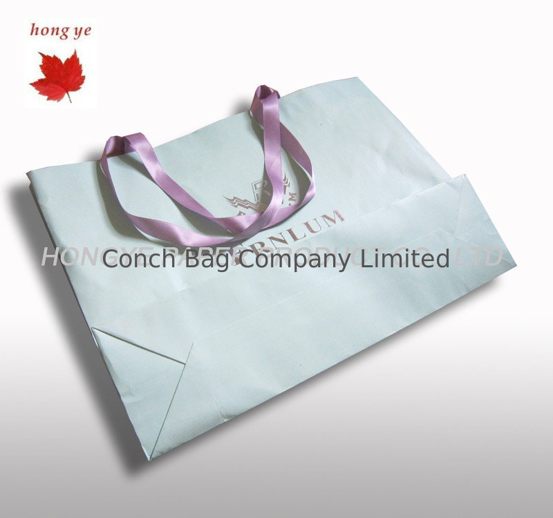 Printed Paper Carrier Bags , Clothing Shopping Bag With Silk Handle